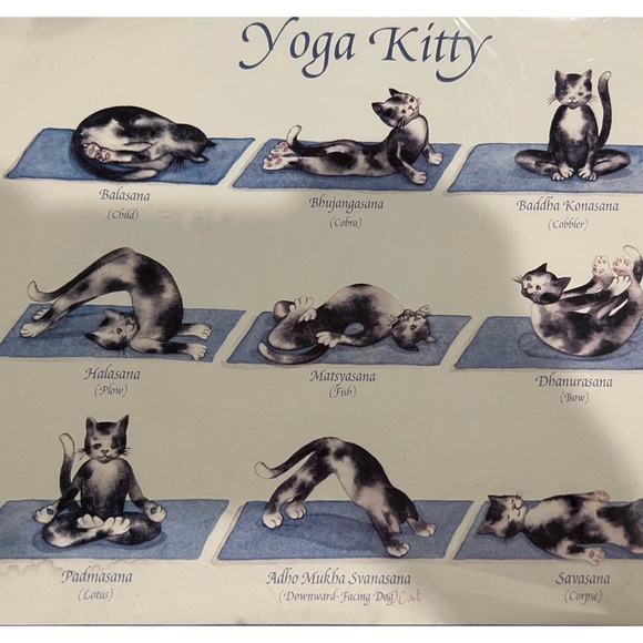 Joanna Carolan | Wall Decor | Yoga Kitty Print With 9 Yoga Poses | Poshmark
